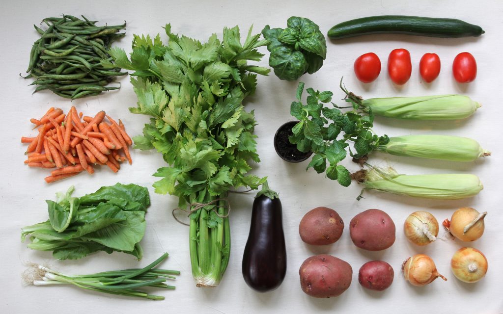 Community | CHEP Good Food Inc.